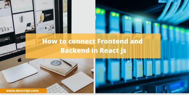 How to connect Frontend and Backend in React js - DevCript